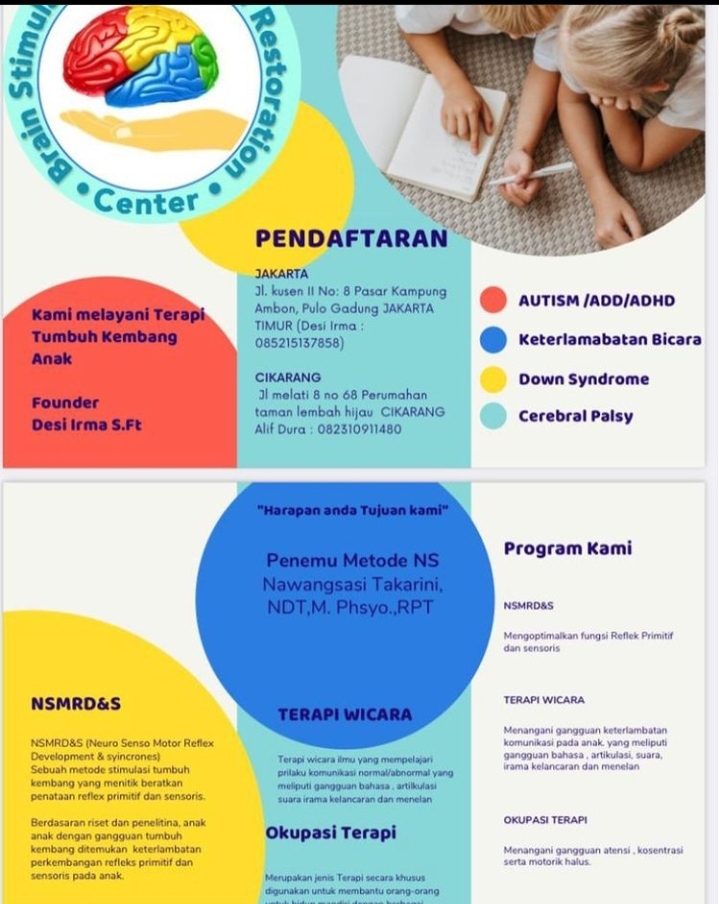 Brain Stimulation and Brain Restoration (BSBR) - Teman Autis